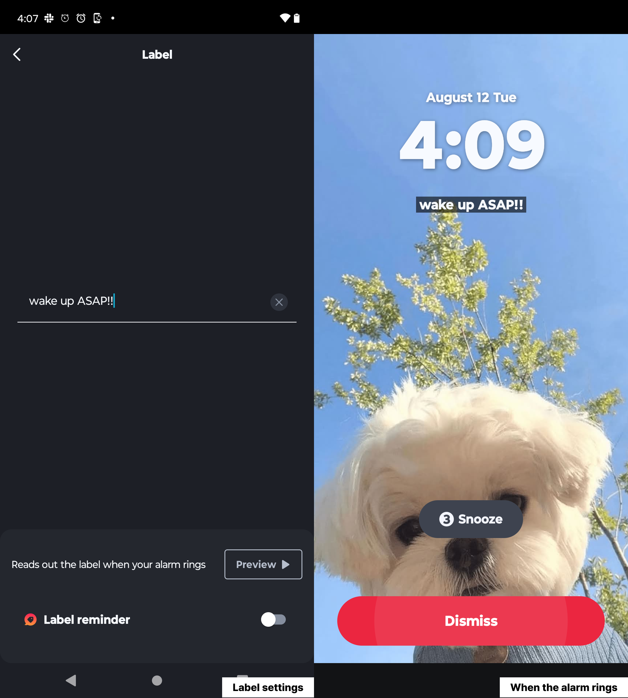[Label] Can I add a label to the alarm? – Alarmy Android